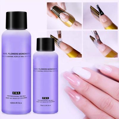 China Professional EMA Monomer Acrylic Nail Liquid for Powder Systems - 1000+ Colors, Low MOQ, 30-45 Day Lead Time for sale