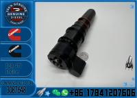 China CCEC M11 Diesel Motor Engine Fuel Injector Inyector 3087648-20 3087648 for sale