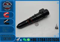China CCEC M11 Diesel Motor Engine Fuel Injector Inyector 3087648-20 3087648 for sale
