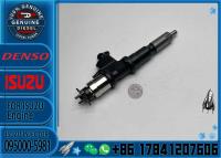 China High Quality Common Rail Injector 8-97603099-1 8976030991 0950005981 095000-5981 for sale
