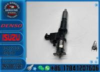 China High Quality Common Rail Injector 8-97603099-1 8976030991 0950005981 095000-5981 for sale