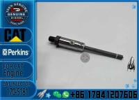 China FUEL INJECTOR 1705181 170-5181 for R1300G, D7G2, D7R, 350, 350L for sale
