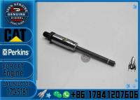 China FUEL INJECTOR 1705181 170-5181 for R1300G, D7G2, D7R, 350, 350L for sale