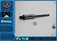 China FUEL INJECTOR 1705181 170-5181 for R1300G, D7G2, D7R, 350, 350L for sale