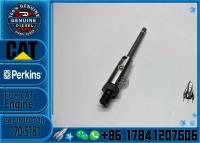China FUEL INJECTOR 1705181 170-5181 for R1300G, D7G2, D7R, 350, 350L for sale