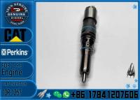 China engine fuel injector  456-3544 456-3545 10R-1267  171-9704 196-1401 222-5966 20R-5036 20R-5079 20R-1318 for sale