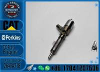 China 323D C6.6 Excavator Engine Common Diesel Engine Fuel Rail Injector 292-3780 2645A718 for sale
