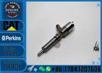 China 323D C6.6 Excavator Engine Common Diesel Engine Fuel Rail Injector 292-3780 2645A718 for sale