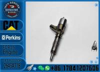 China 323D C6.6 Excavator Engine Common Diesel Engine Fuel Rail Injector 292-3780 2645A718 for sale