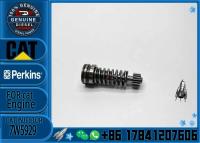 China Diesel Fuel Injection Pump Plunger 1w6541 4p9830 9h5797 6n7527 Plunger Barrel 7W5929 Element for CAT 3304 3306 Diesel En for sale