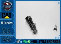 China Diesel Fuel Injection Pump Plunger 1w6541 4p9830 9h5797 6n7527 Plunger Barrel 7W5929 Element for CAT 3304 3306 Diesel En for sale
