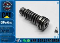 China Fuel Injection Pump Plunger 1w6541 4p9830 9h5797 6n7527 Plunger Barrel 7W5929 Element for CAT 3304 3306 Diesel Engine for sale