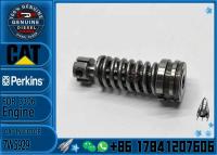 China Fuel Injection Pump Plunger 1w6541 4p9830 9h5797 6n7527 Plunger Barrel 7W5929 Element for CAT 3304 3306 Diesel Engine for sale