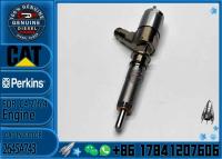 China C6.6 C6.4 Fuel Injector 2645A743 3210990 321-0990 10R-7668 326-4700 326-4756 326-4740 10R-7951 2645A717 for sale
