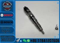 China Diesel Fuel Injector 0445120202 0445120281 0445120311 5110100-6121 5110100-6141 51.10100-6155 with nozzle DLLA145P2158 for sale