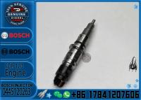 China Common Rail Injector 0445120389 0445120262 0445120263 0445120447 0445120321 0445120415 Diesel For Bosch for sale