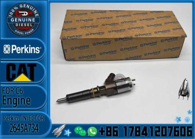 China CAT C6.6 injector 306-9380 2645A734 Injection Nozzle 282-0490 2645A709 FOR E312D E313D E320D E321D injector assembly for sale