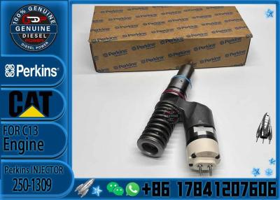 China Diesel engine fuel injector 250-1309 excavator C11 C13 diesel engine spare parts 250-1309 for sale