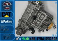 China Diesel Engine Diesel Fuel Injection Pump 315-3019 For Caterpillar 320D Excavator 3153019 C6.6 for sale