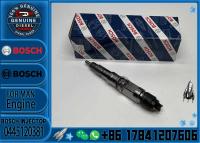 China High Pressure Fuel Injector 0 445 120 318 0 445 120 432 Oil Pump Injector 0445B29006 0445120318 0445120432 for sale