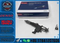 China Good Quality Diesel Common Rail Fuel Injector 295050-2510 2950502510 For ISUZU for sale