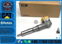 China diesel fuel injectors  232-1175  222-5966 173-9268 198-7912 232-1168 156-3895 204-2467 232-1167 173-4059 for sale