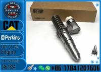 China diesel fuel injector 204-2067 229-1631 245-8272 246-1854 250-1311 250-1302 250-1304 250-1303 for sale