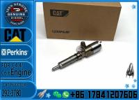 China Diesel Common Rail Injector   292-3780 306-9380 306-9390 310-9067 2645A751 320-0655 320-0688 for sale