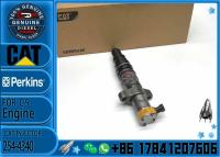 China C9 Engine Fuel Injector 254-4340    328-2574   328-2576 258-8745 265-8106 267-3361 387-9435 53L-8062 387-9437 387-9438 for sale