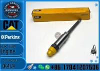 China Diesel Injector 0R-4124 7W7038 1705187 170-5187  0R-3419 0R-3420 0R-3421 4W7015 4W7017 for sale
