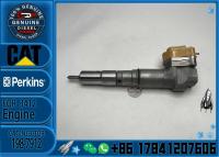 China Excavator Parts c9.3 Engine Injector173-9268 198-7912 460-8213 342-5487 417-3013fuel injector For Excavator for sale