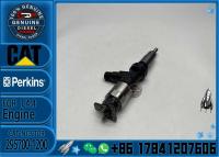 China Excavator Parts C4.4 Engine Injector 295700-1200 295050-1810 295050-0421 295050-0411 295050-0361 fuel injector For Excav for sale