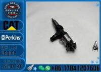 China Excavator Parts C4.4 Engine Injector 295700-1200 295050-1810 295050-0421 295050-0411 295050-0361 fuel injector For Excav for sale