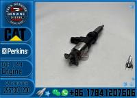 China Excavator Parts C4.4 Engine Injector 295700-1200 295050-1810 295050-0421 295050-0411 295050-0361 fuel injector For Excav for sale