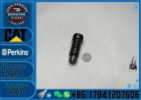 China Diesel Fuel Injection Pump Heavy Duty Vehicle Part & Accessory 4P9830 Plunger Barrel Element for sale