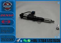 China Diesel fuel common rail injector 23670-E0220 295050-0490 injector for HINO for sale