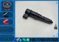 China Construction Machinery PartsFuel Injector ForM11 PTDiesel4914328 3018835PXFor  Diesel Engine for sale