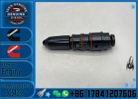 China Construction Machinery Engine NT855 Nozzle Common Rail Injector 3054218 Diesel Fuel Injector Assembly for  NT855 for sale