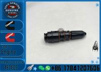 China Diesel Engine Parts Fuel Injector  4914308 4914325 4914328 Nozzle Ccec Nta855 for sale