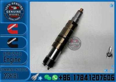 China For Scania Unit Injectors XPI Model 2057401 2036181 2031835 574423 1933612 575176 Injection Valves Product Category for sale