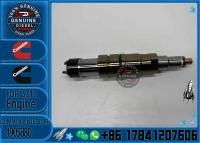 China Hot Sell 2031835 Diesel Fuel Injectors 4905880 110528079 for  SCANIA R Series Engine for sale