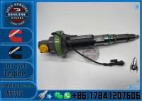 China Diesel QSK19 Engine Common Rail Fuel Injector 4955524 4955525 2867149 2867147 2882079 4964173 for sale