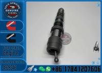 China Common Rail Injector 4928346 4087887 for Engineering Machinery of for  Qsk19 Diesel Engine for sale
