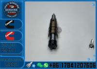 China Original Common Rail Fuel Injector 0445120196 10117168 10490018 for Liebherr R974b Excavator for sale