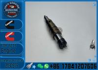 China Original Common Rail Fuel Injector 0445120196 10117168 10490018 for Liebherr R974b Excavator for sale