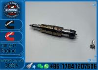 China Original Common Rail Fuel Injector 0445120196 10117168 10490018 for Liebherr R974b Excavator for sale