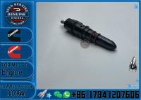China Genuine Engine Spare Parts Stc Kta19 Injector 3079946 for for sale