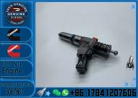 China Construction Machinery PartsFuel Injector for N14 Diesel 3080931F 3087558F 4307795 6087807 for  Diesel Engine for sale