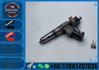 China NINE Brand Good Price Common Rail Injector 4307795 Fuel Injector 4307795 for sale