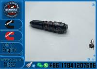 China Recommended Fuel Injector Assembly 3013725 for  Engine PTN 855 Series for sale